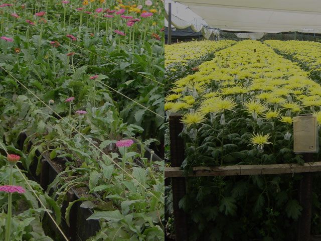 EcoMicrobials - The Source of Probiotics